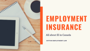 All About Employment Insurance (EI) - Dutton Employment Law